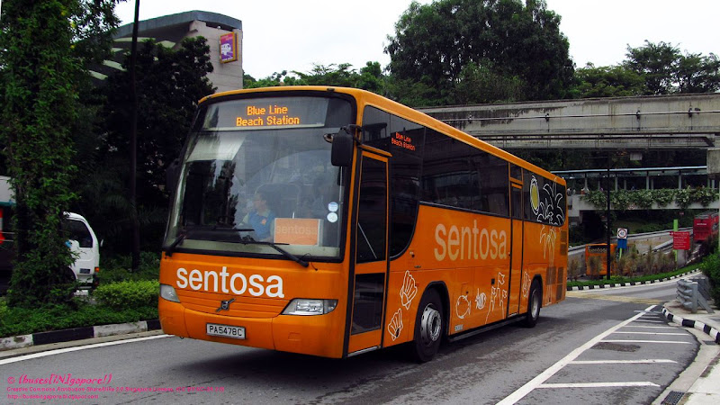 (buses[IN]gapore!): Sentosa buses' new livery!