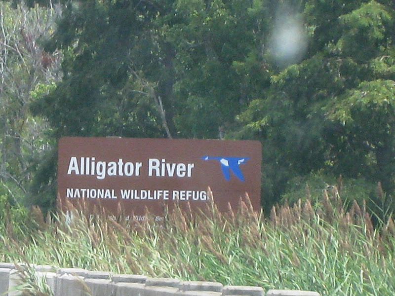 North Carolina Hikes: Alligator River National Wildlife Refuge ...