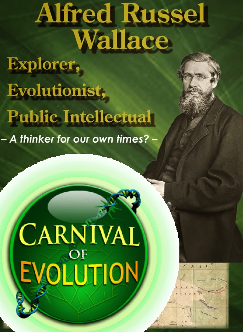 The Genealogical World of Phylogenetic Networks: Carnival of Evolution ...