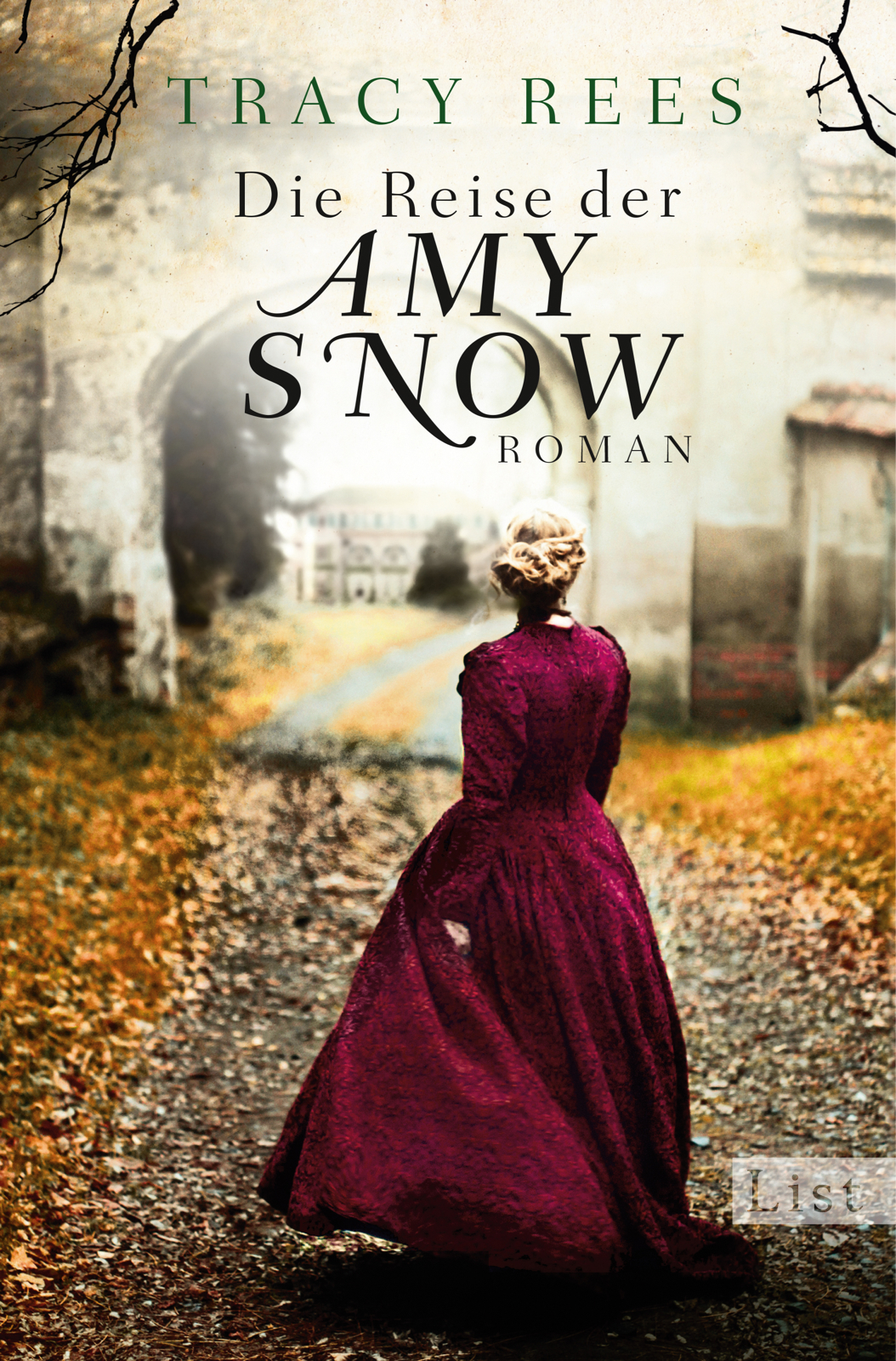 BuchBria: Die Reise der Amy Snow - Tracy Rees