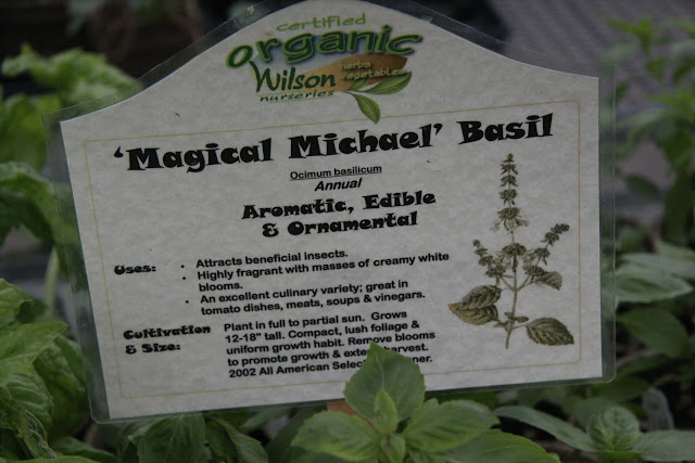 lisa gammel maas: in clover: a little piece of heaven