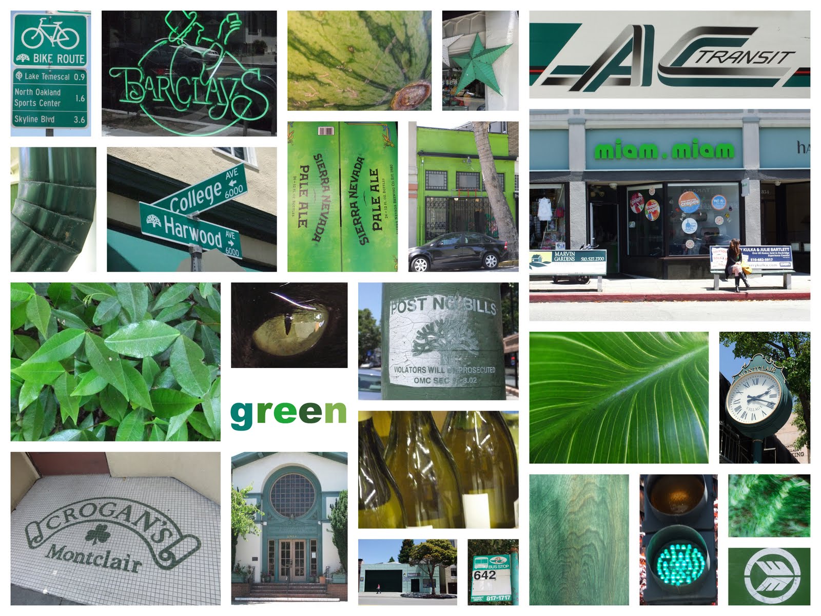 Our Oakland: photo journey 5: how green is my city