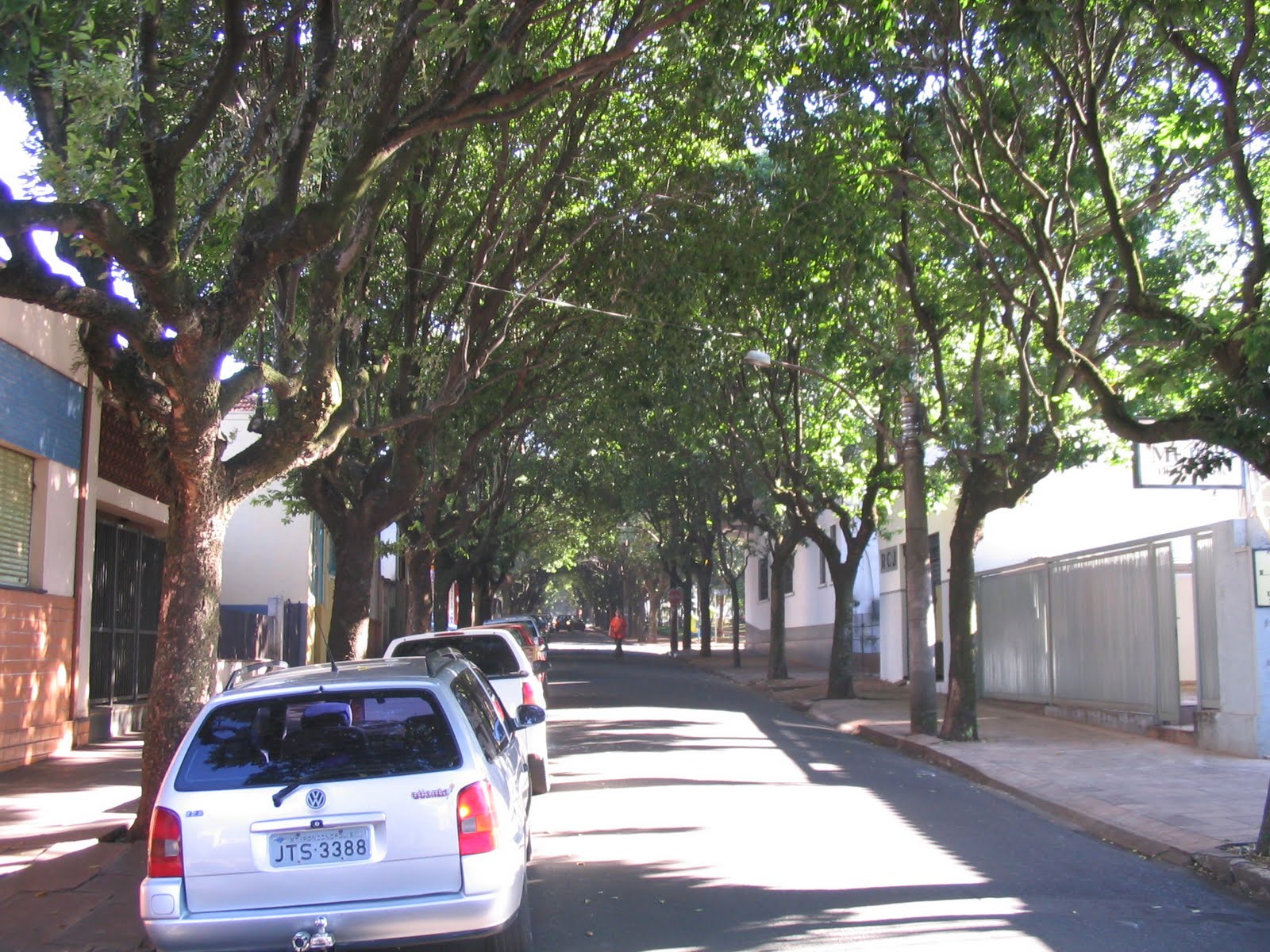 Blog do Ralph Giesbrecht: ARARAQUARA, SÃO PAULO