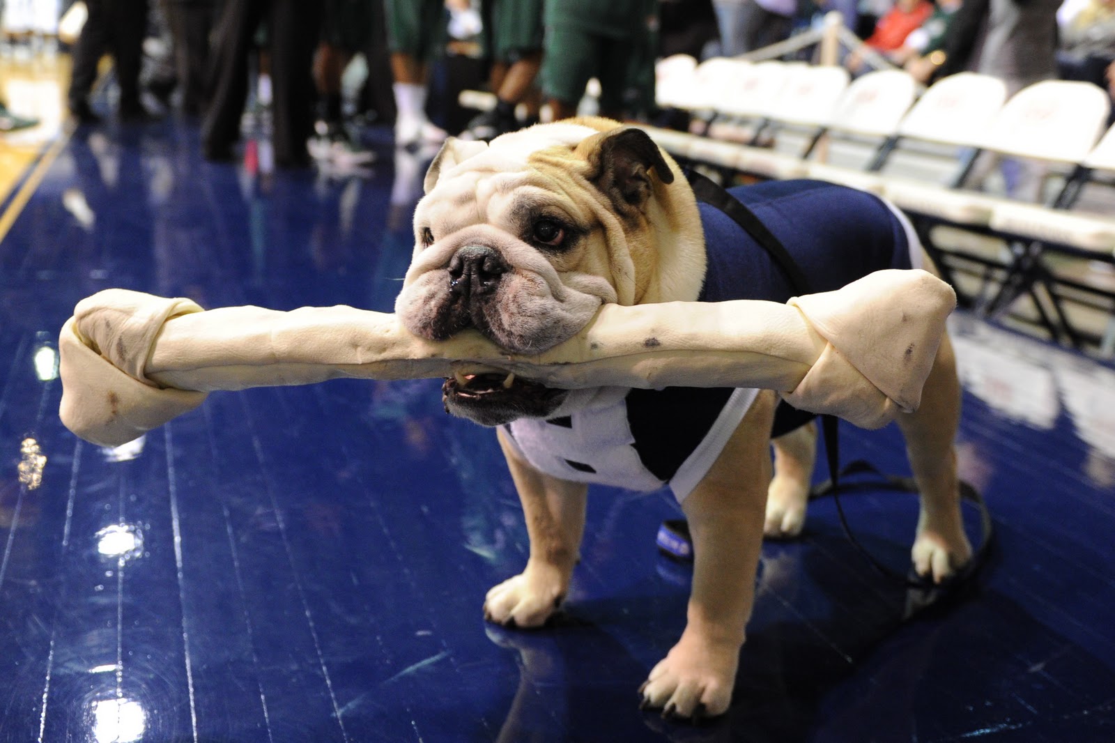 Fetcho Photo Blog: Butler Basketball Game Day (01-06-12)