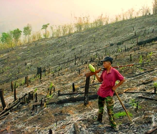 Asian Agriculture | Vegetal On The World