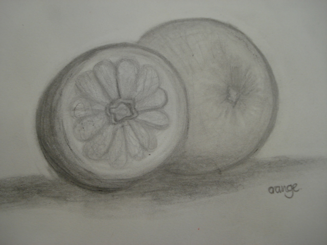 a faithful attempt: Sliced Fruit Drawings