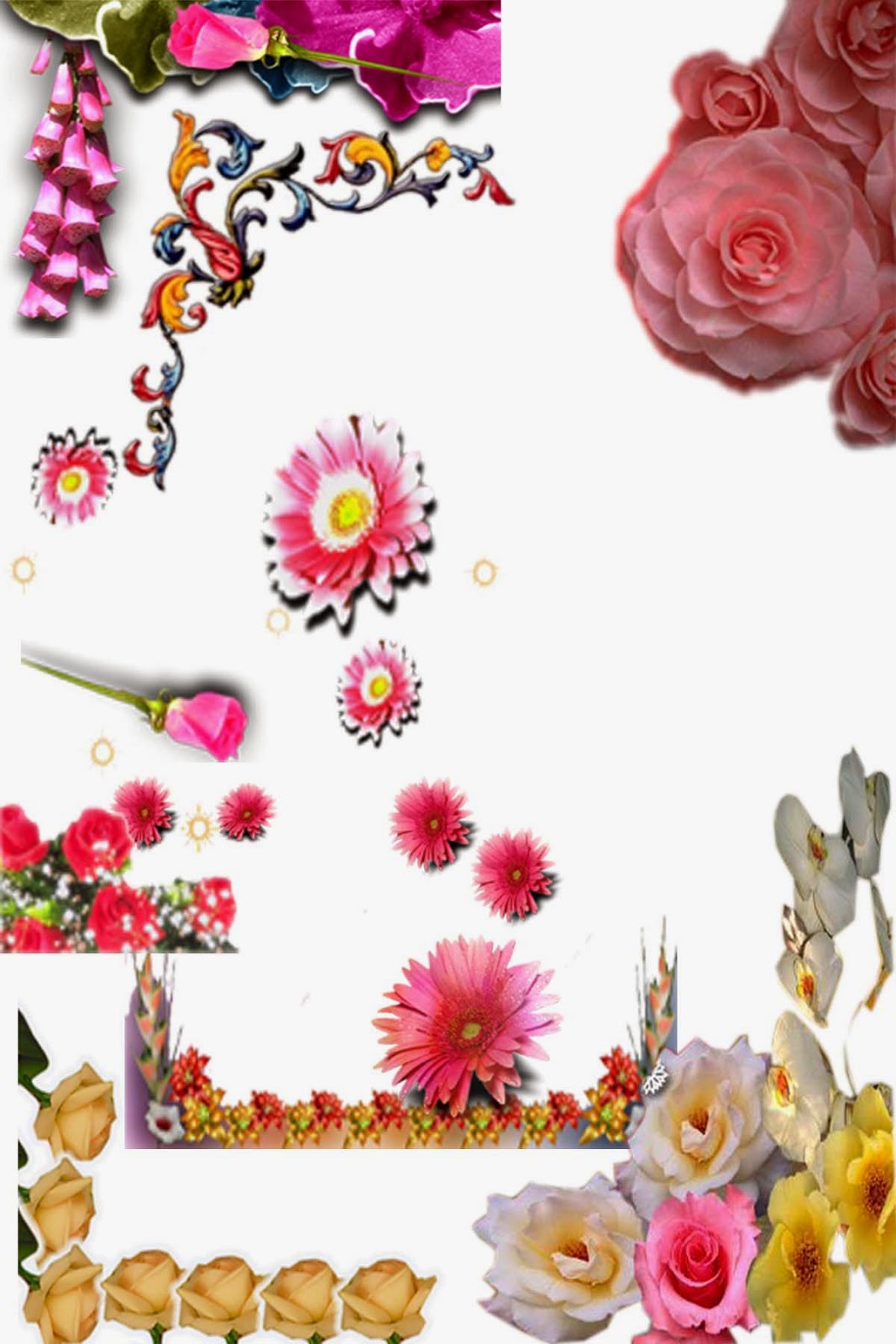 Flowers Borders Psd For Adobe Photoshop - Get Fresh Everything