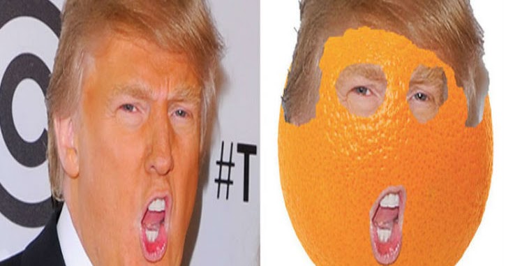 ModeratePoli: 50 Shades of Trump