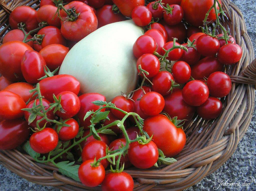 Jedozovni duo: RAJČICA