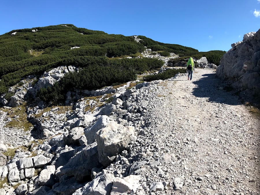 Quickly climb the mountain hiking trails and enjoy the prehistoric ...