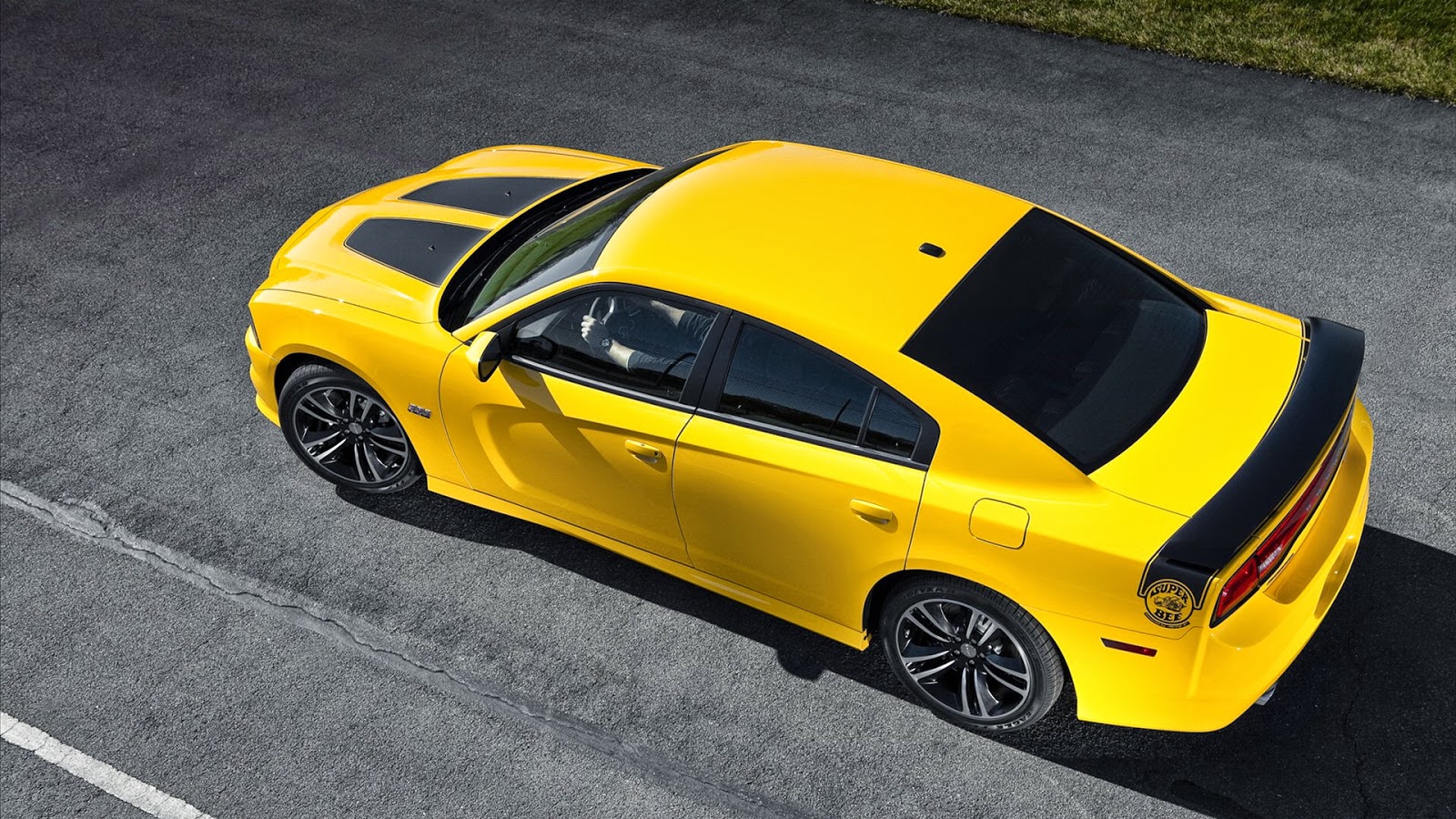 Super Bee - La storia di un'icona americana - Throttle Addicted