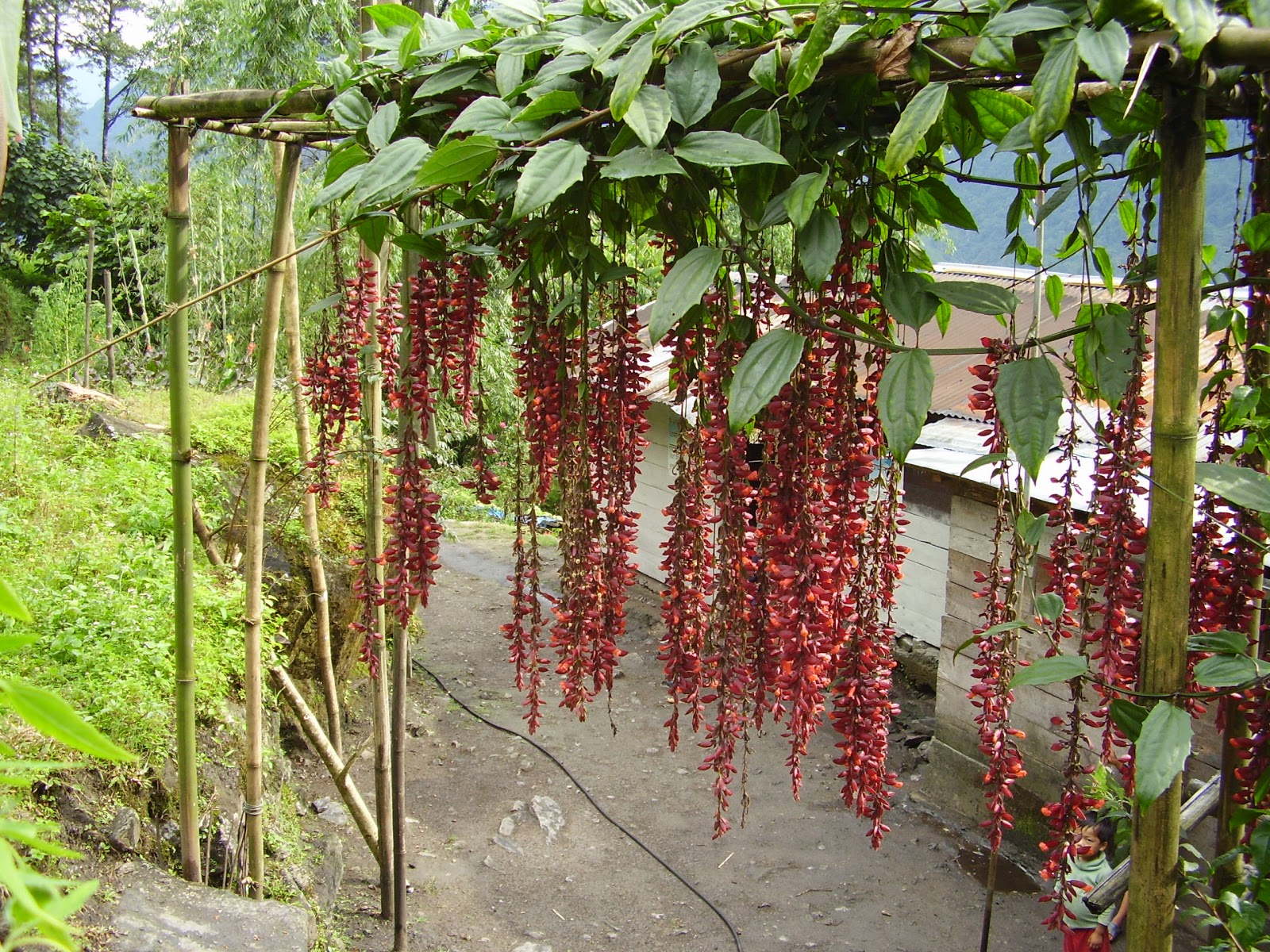 Panchendriya: October 2012