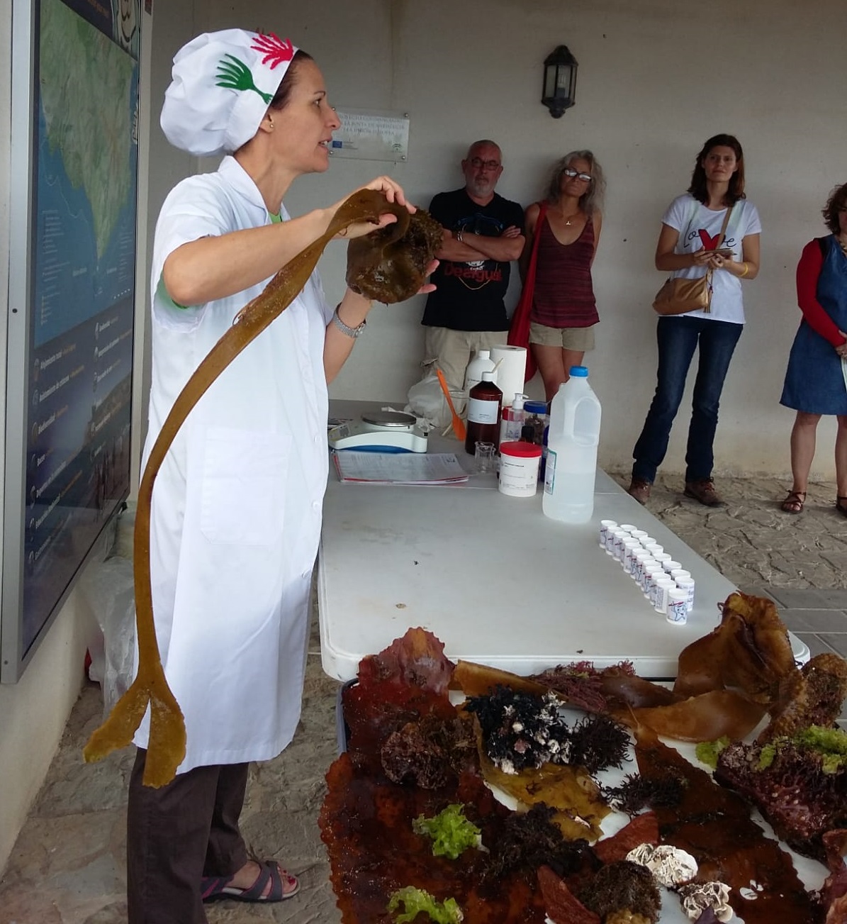 PROYECTO ALGAS: 2018