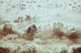 ELEPHANTITIS: BONERVILLE PHOTO FINDS