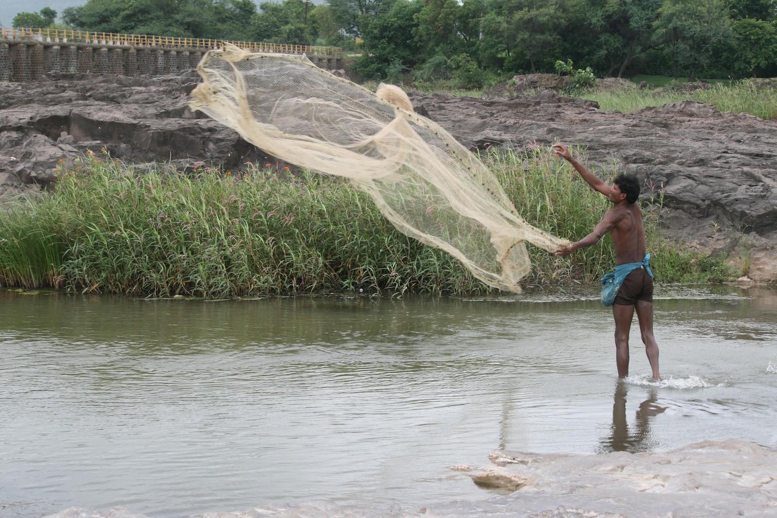 Indian Biodiversity Talks: Indian researchers find a new stone loach ...
