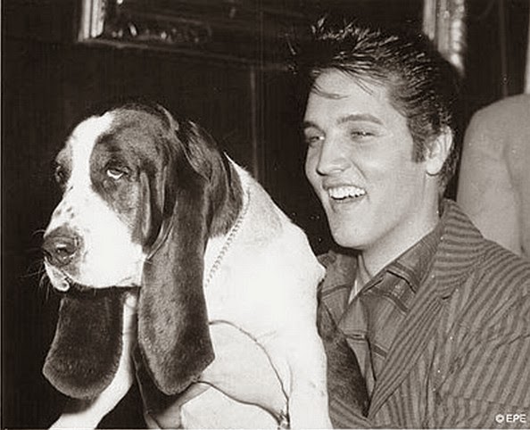 Hound Dog - Elvis Presley video con testo e traduzione in Italiano ...