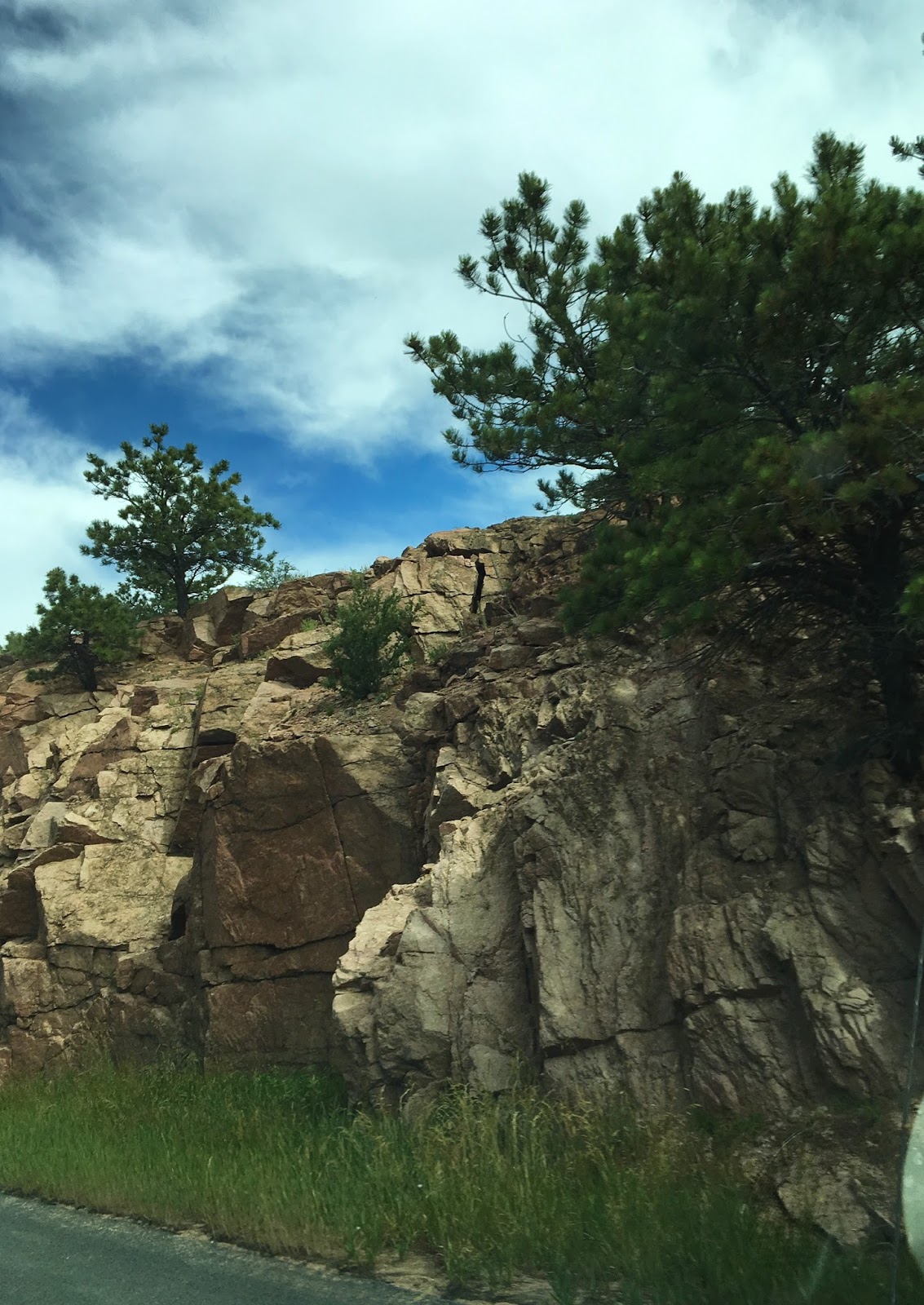 Rowan's Story: "God's Masterpiece"