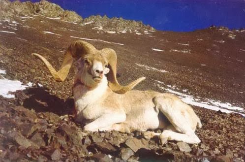 Explore the Beauty of Pakistan: Gilgit Baltistan is Heaven on earth