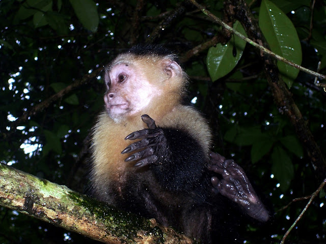 An Unfittie's Guide to Adventurous Travel: More than meets the eye