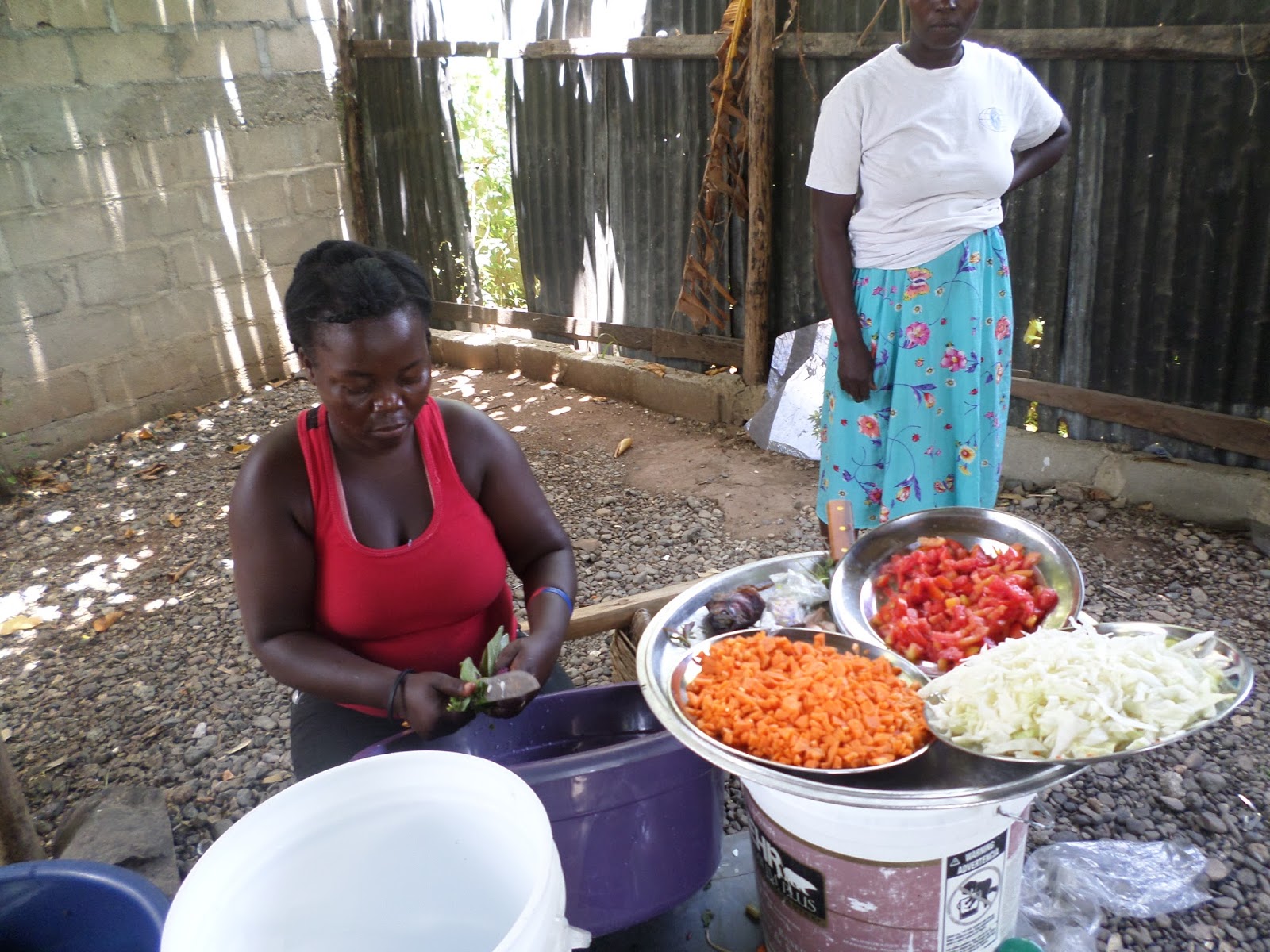 Cooking Demonstrations in Haiti: A Recipe for Joumounad - Farmer House