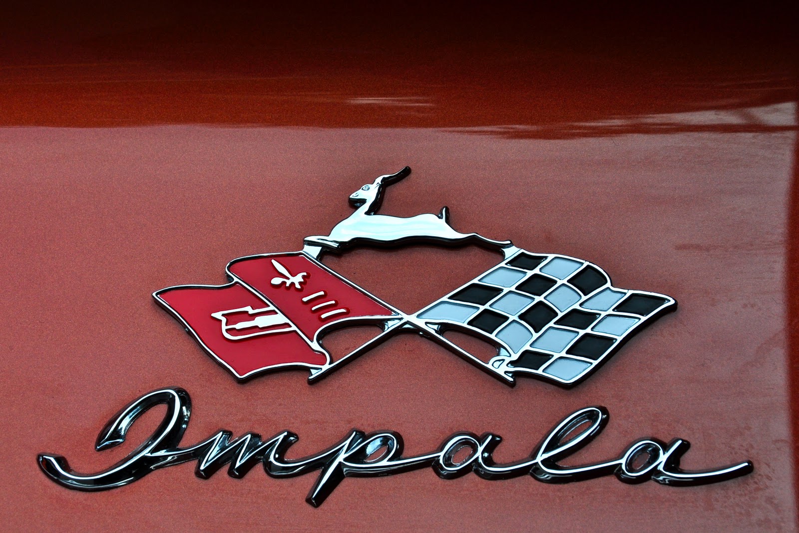 Scottsdale Daily Photo: Photo: Impala name plate