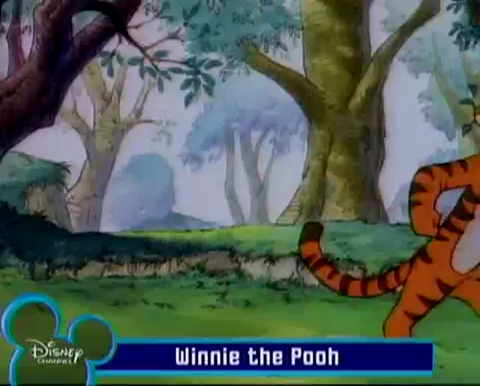 The New Adventures of Winnie The Pooh: Tigger's Shoes