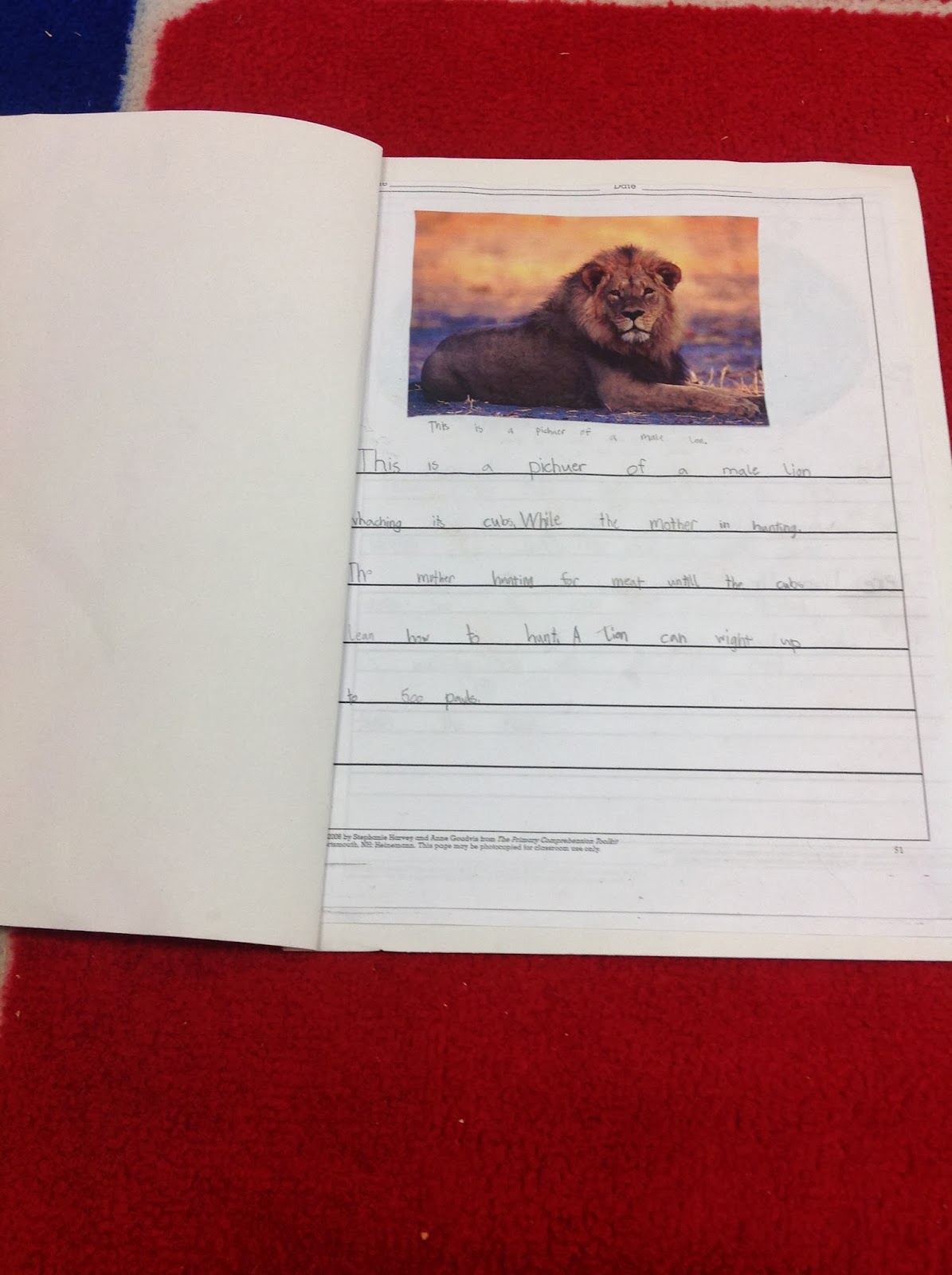 Mrs. MeGown's Second Grade Safari: All About Nonfiction Features!!!