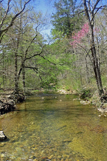 An Arkies Musings: Shady Lake and Bard Springs