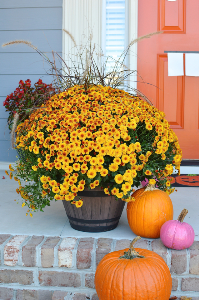 Design Addict Mom: Colorful Halloween and Fall Touches at Our Home.