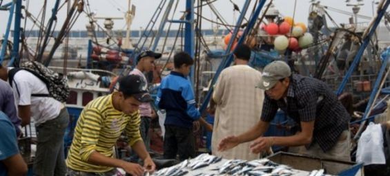 THE VIEW FROM FEZ: Morocco - Africa's #1 Fish Producer