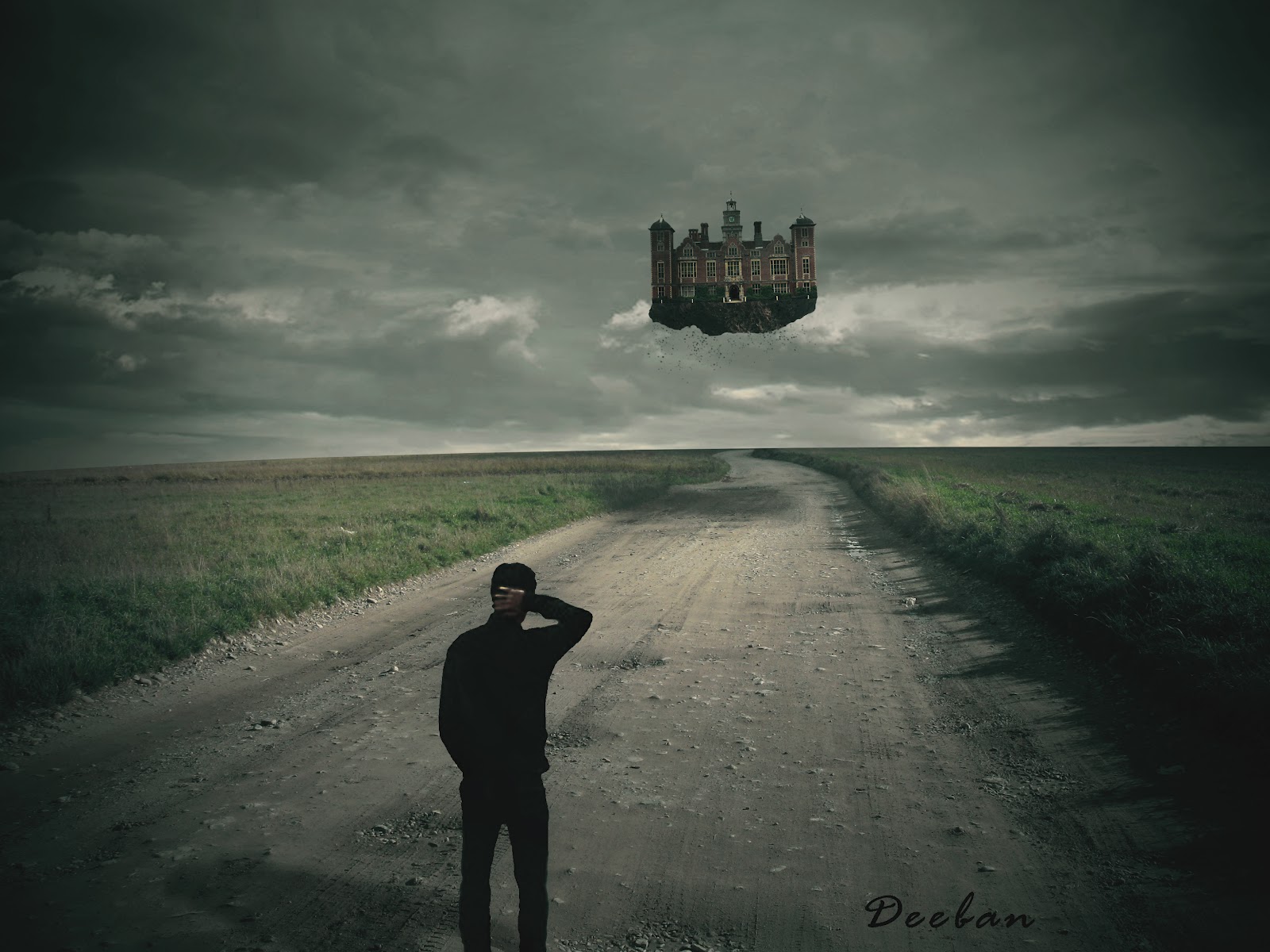 FLYING HOUSE: Flying House Art and Pictures