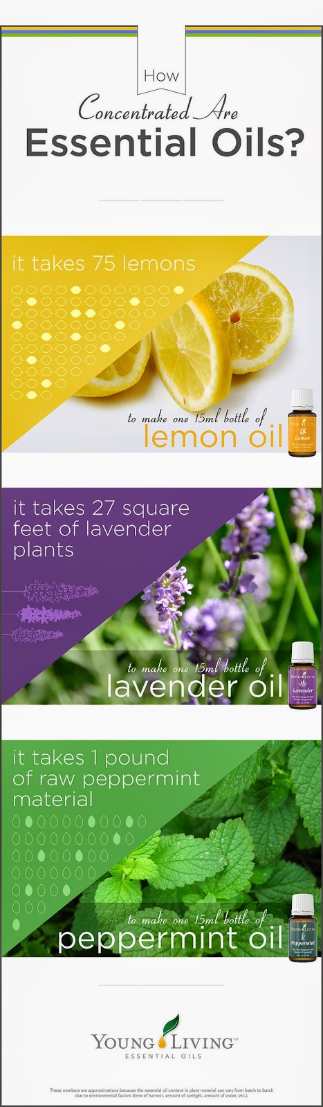 YLEO Uses, Tips, and Tricks!