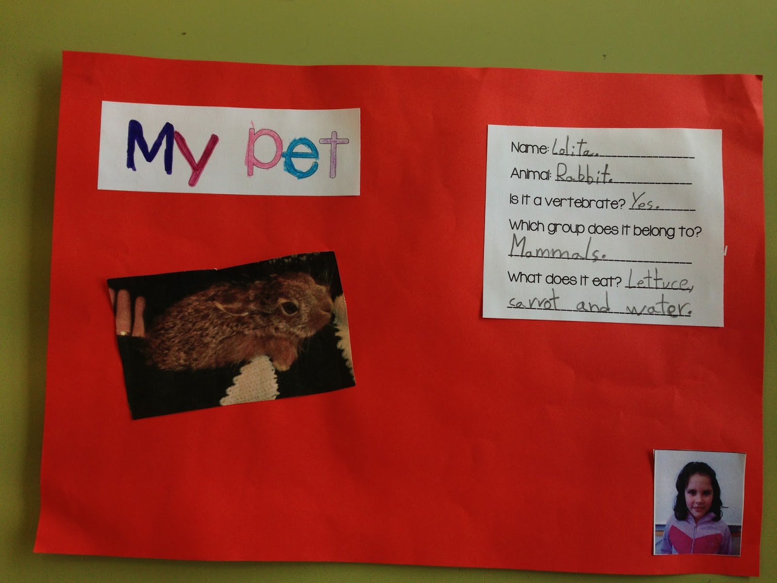 SCIENCE IN THE SCHOOL: My Pet