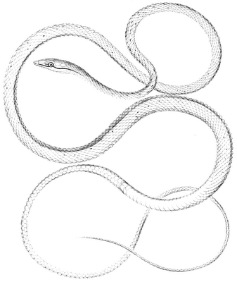 Telecanter's Receding Rules: August 2012