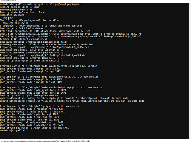Not Good Example(s): Installing phpMyAdmin using Lighttpd Webserver on ...