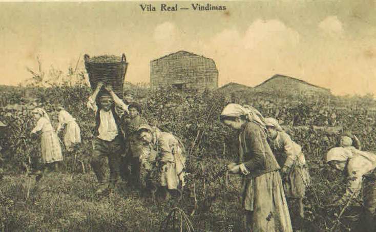 Cultural | Biblioteca Portuguesa de São Paulo: Vila Real - cartões ...