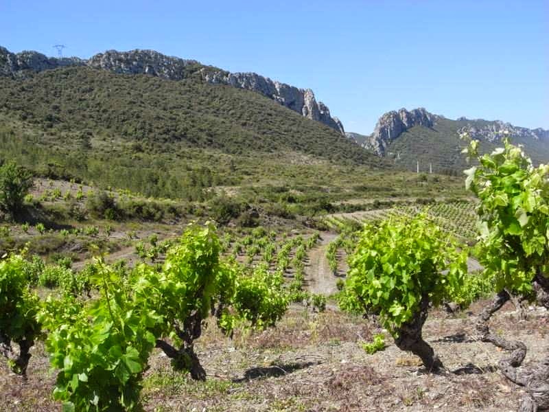 Le jardin poétique de TIMILO : Mon joli village....
