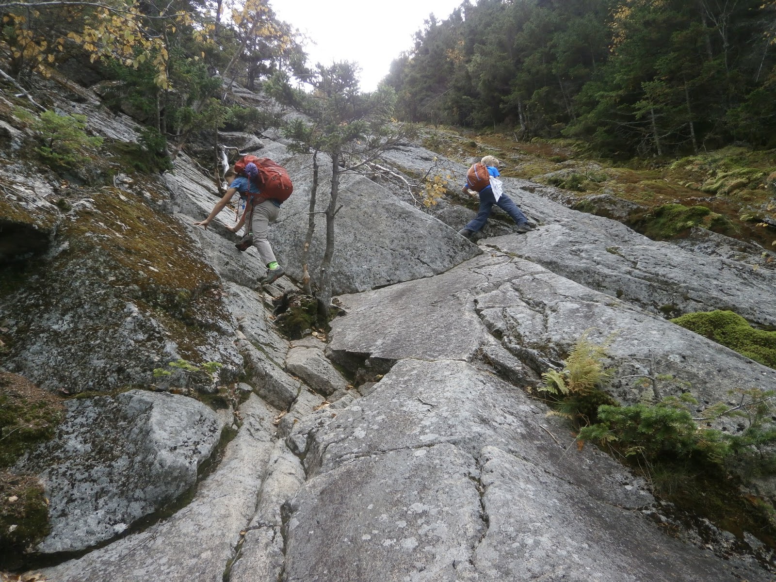Pemi Mountain Meandering: The Ying & Yang Trail: the Tripyramid's via ...