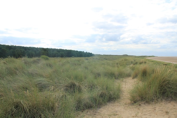 Holkham National Nature Reserve: The Dunes of Holkham