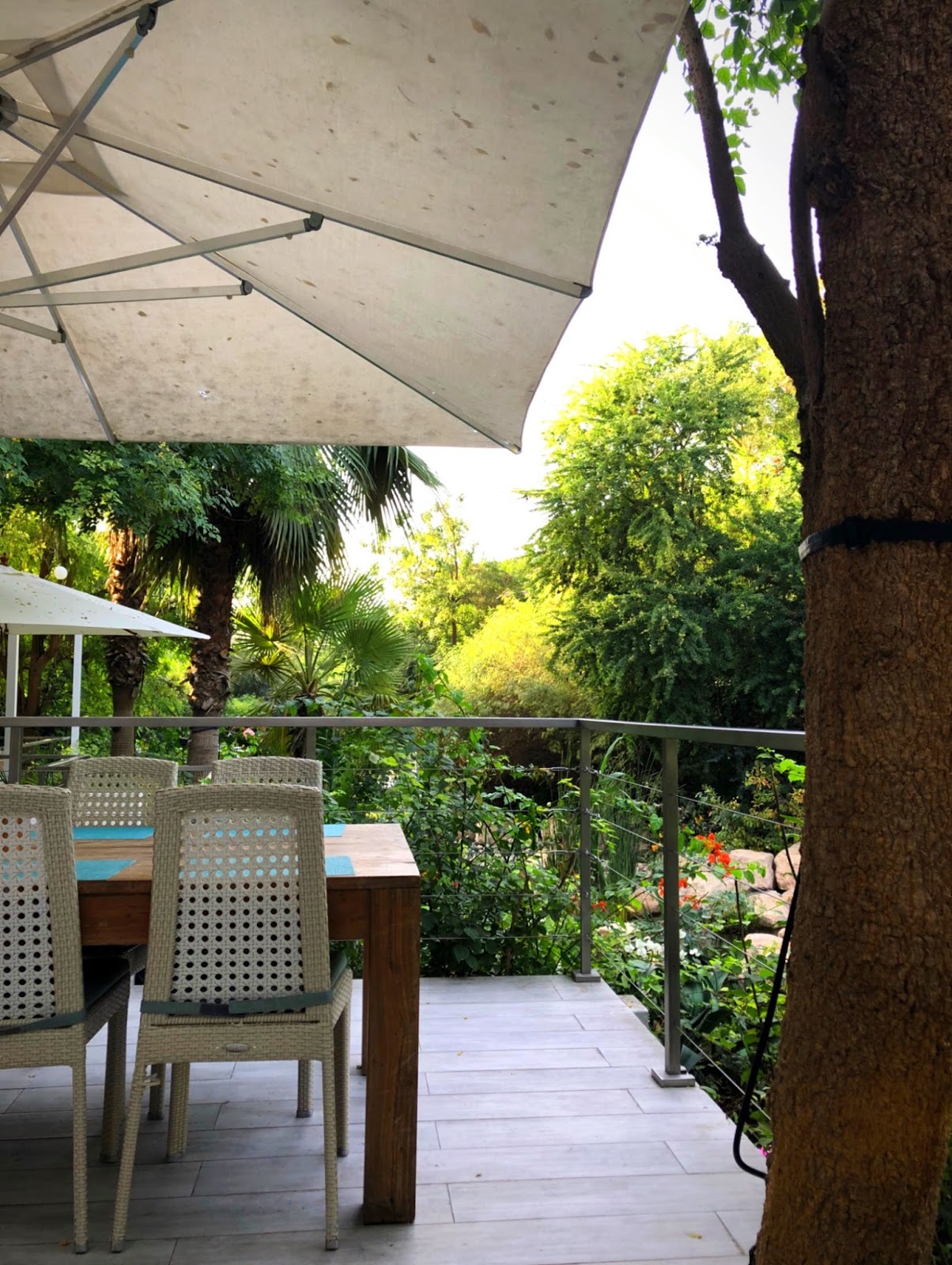 High Tea in the Desert | The Farm Al Barari | Our Dubai Life