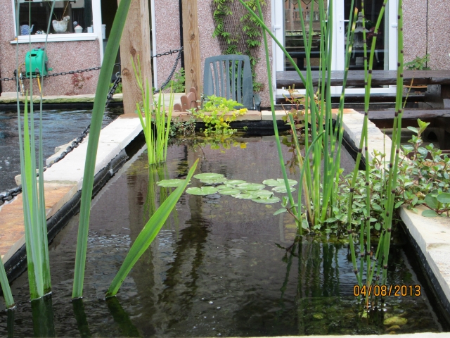 Anoxic Filtration System: Anoxic Filtration Build By: Brian Woodcock in ...