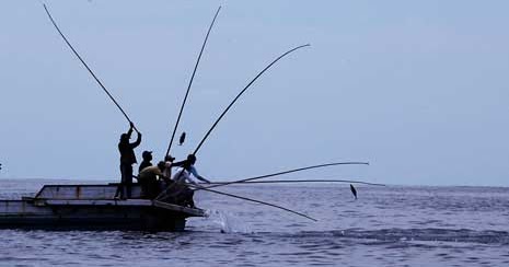 Tradisi menangkap Ikan Dengan teknik Huhate Di Larantuka - Lalaukan