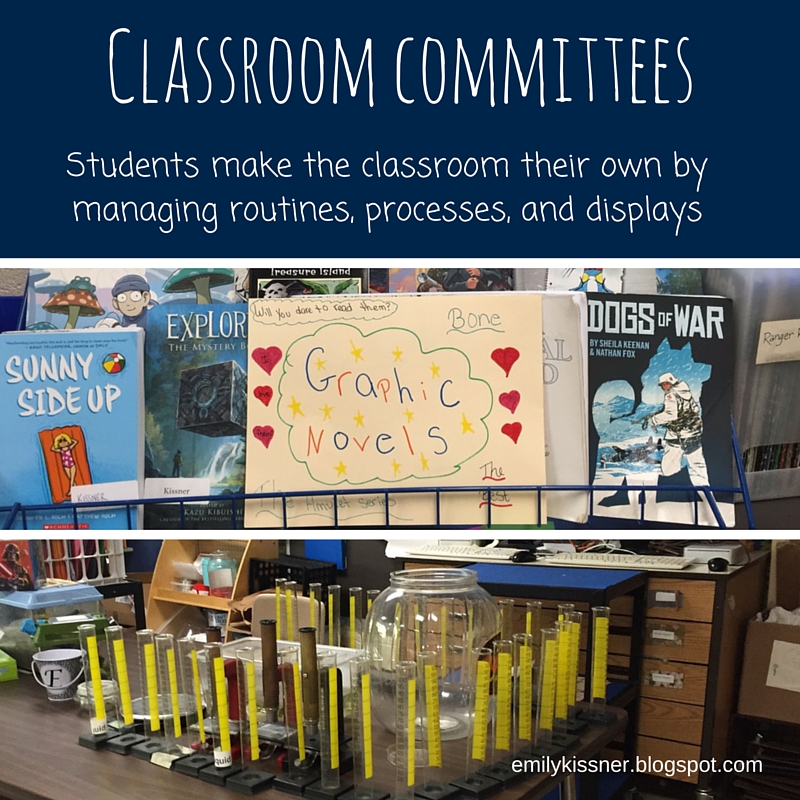 In My Classroom: The Forest and the Trees: Classroom Committees
