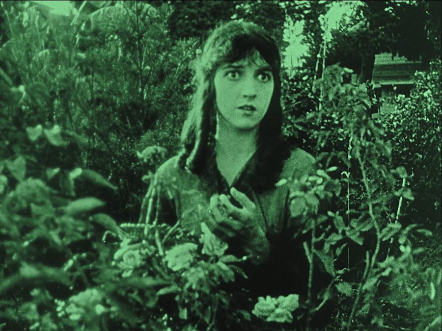 ithankyou: The difficult one… The Birth of a Nation (1915)