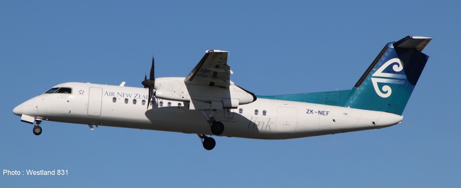 3rd Level New Zealand: Air New Zealand at Tauranga