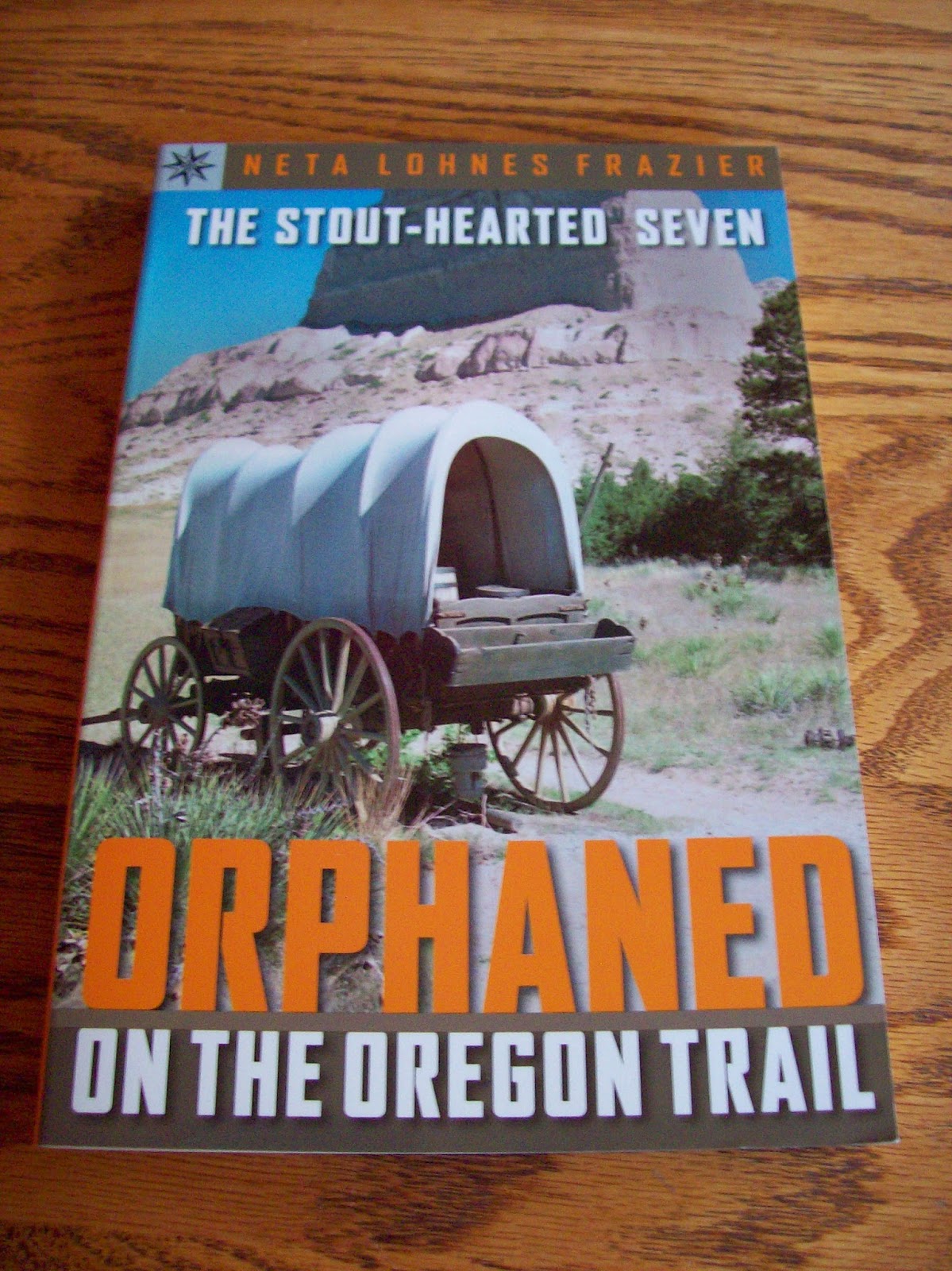 Reflections from Drywood Creek: The Stout-Hearted Seven, Orphaned on ...