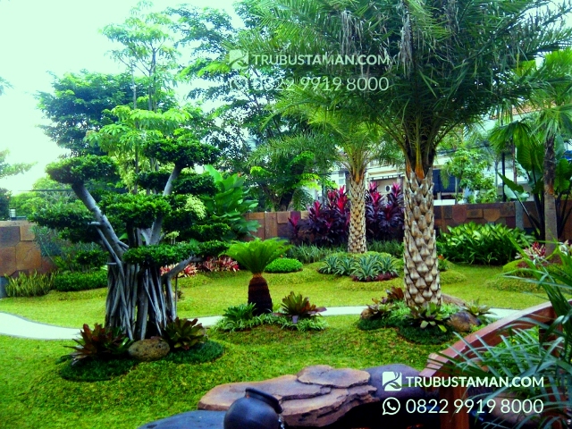 Galery Taman - Jasa Tukang Taman jakarta