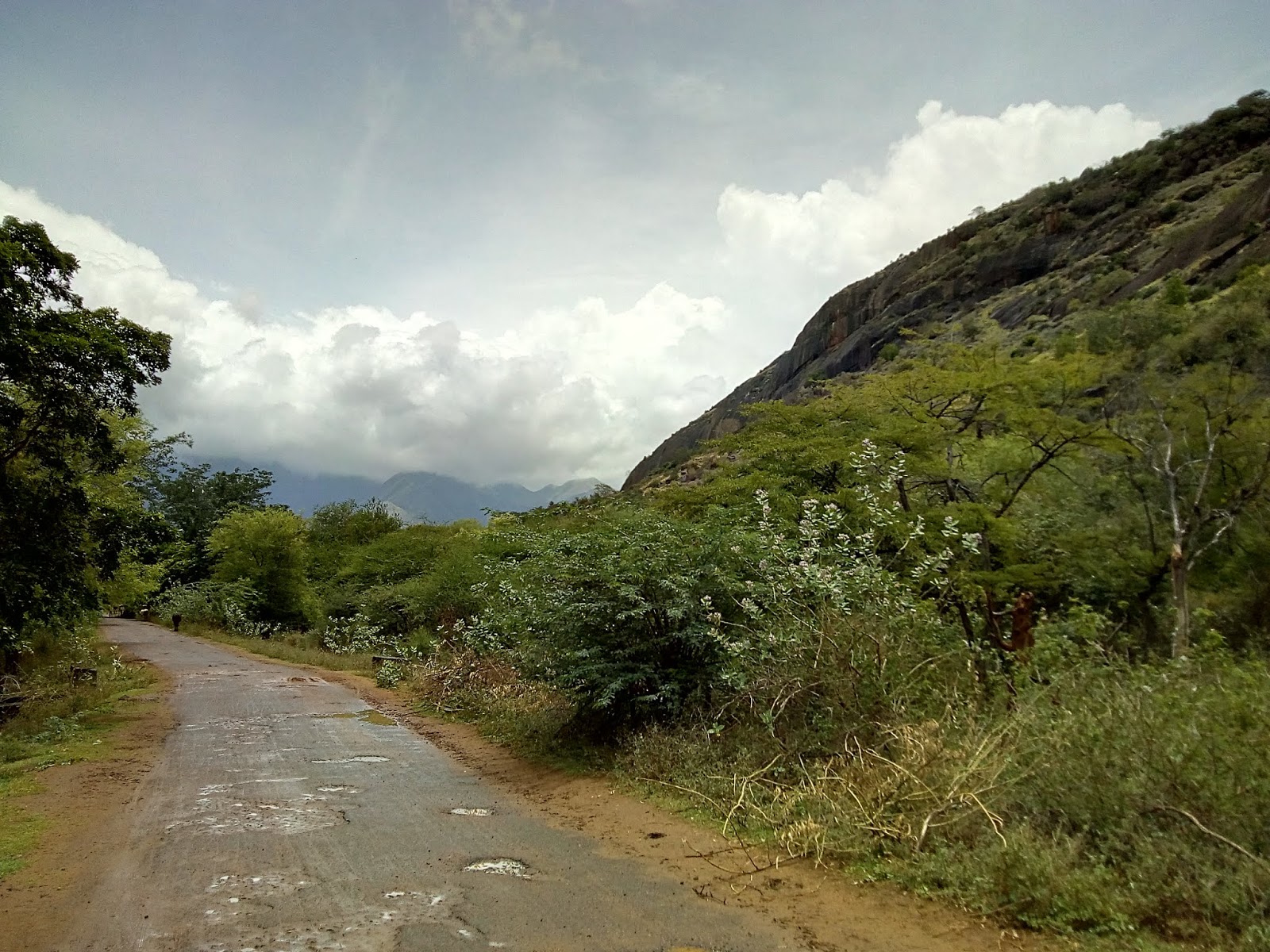 Kadayam Village - Tirunelveli, Tamilnadu, India: Nature Pictures Kadayam