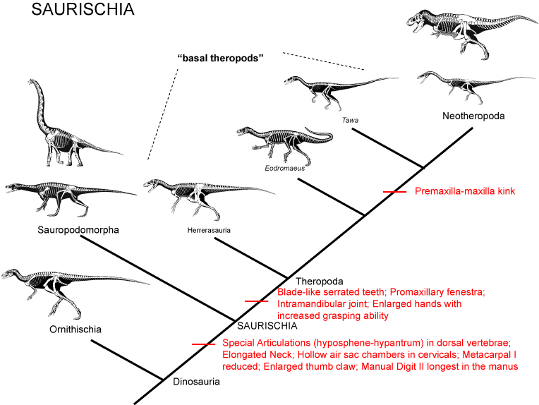 Dinos for Dummies: A Novice's Guide to the Paleoworld