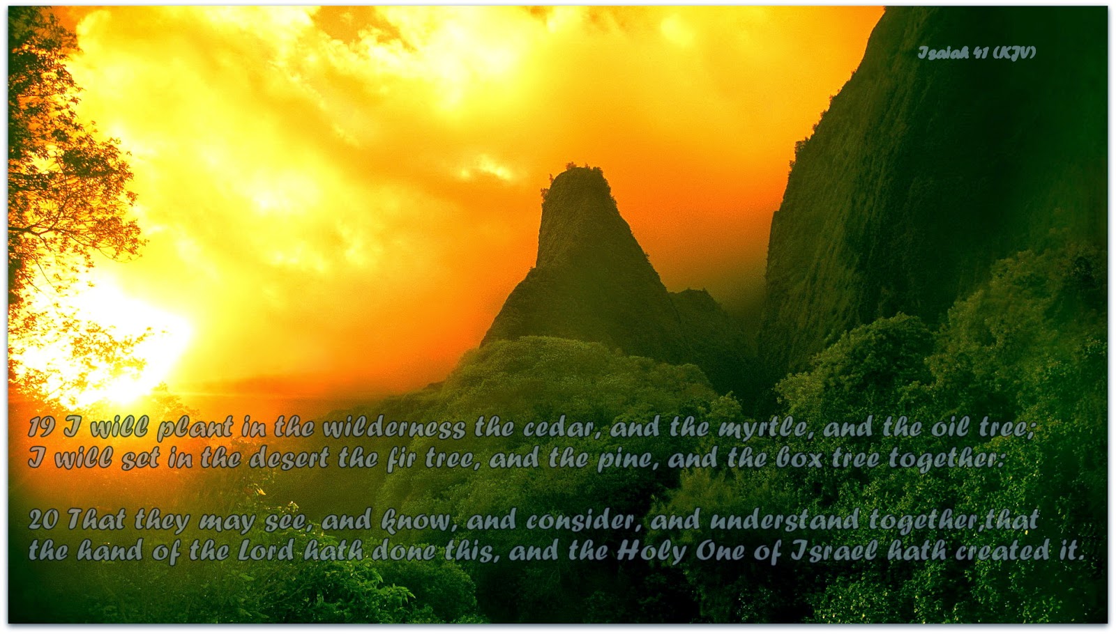 Red Pill Diaries: Isaiah 41 (KJV)